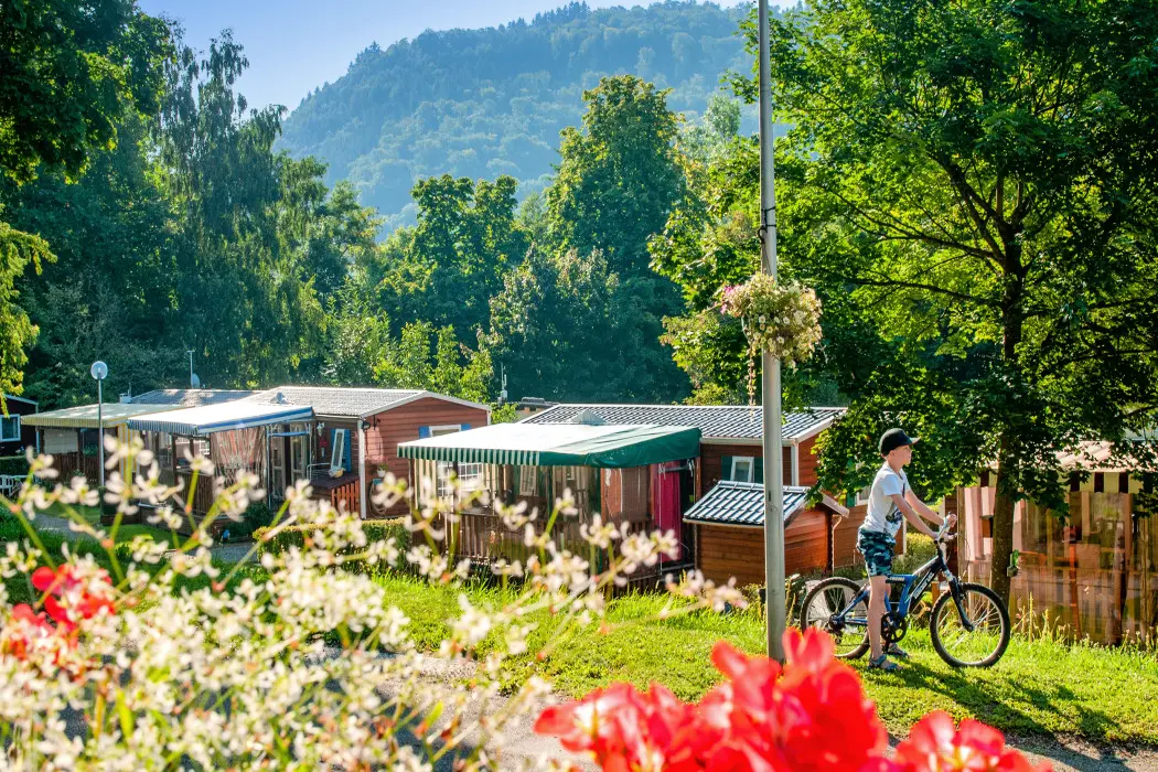Campingplätze in der Region Elsass