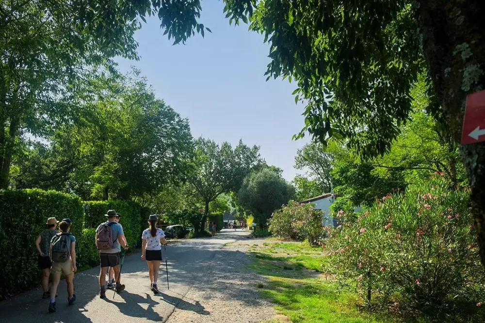 Camping Le Petit Bois - Ruoms - Ardèche